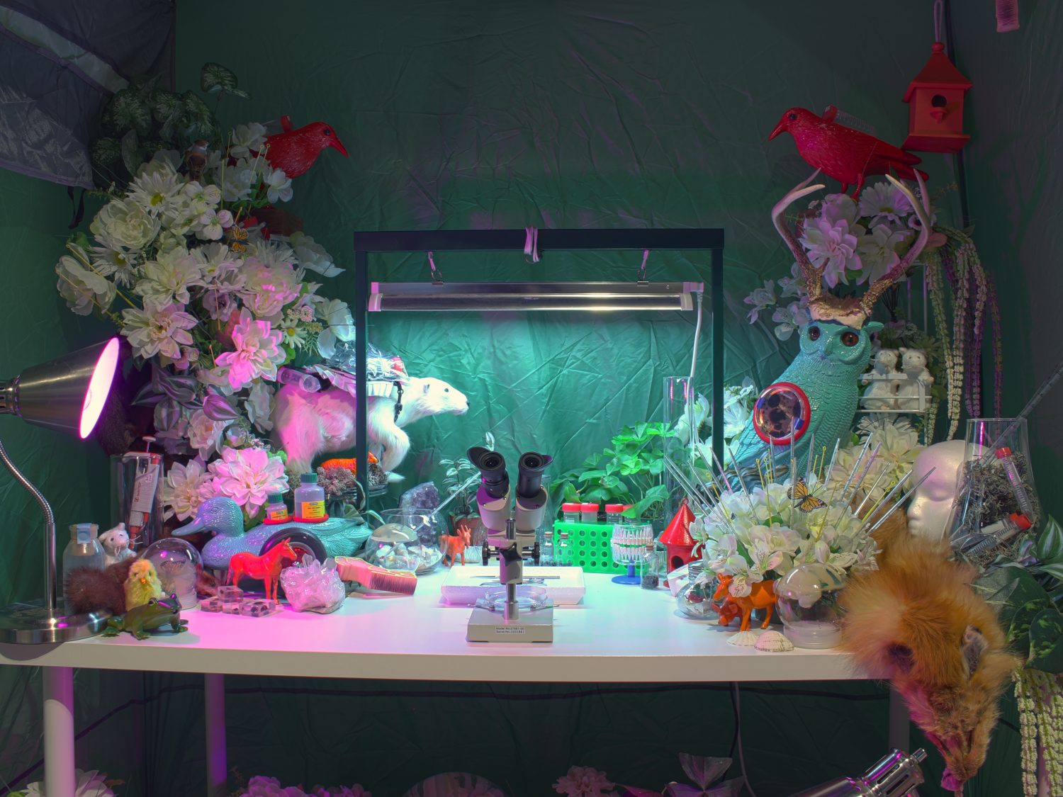 Laboratory Ecologies – INCUBATOR art lab