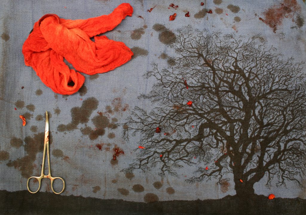 BioART: Contemporary Art and the Life Sciences Exhibition - INCUBATOR ...