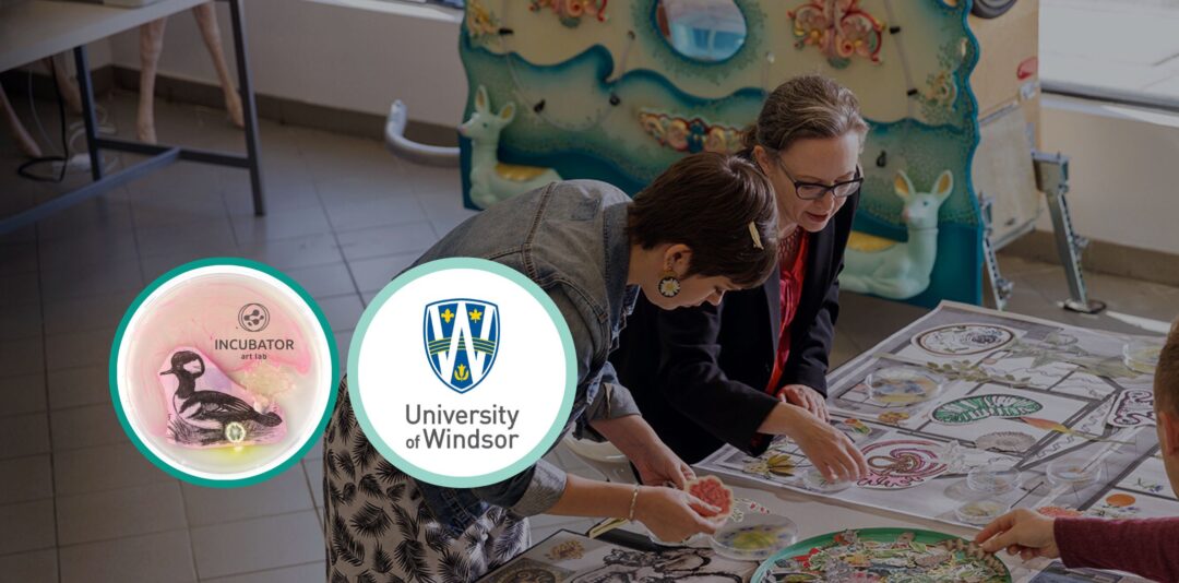 Science and Art Workshops for Schools - INCUBATOR art lab